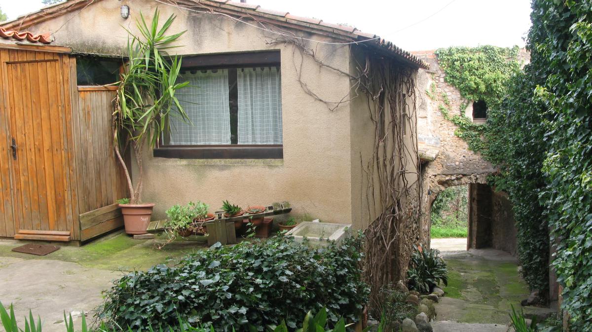 CAN VOLTA Cast – CAN VOLTA